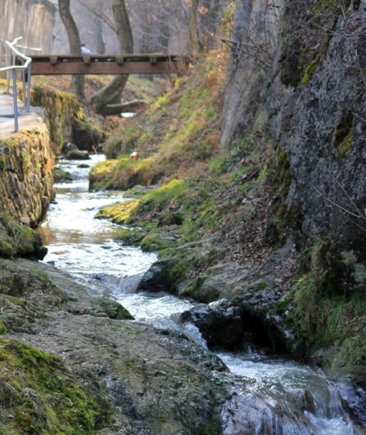Plimbări în natură – Quiboo