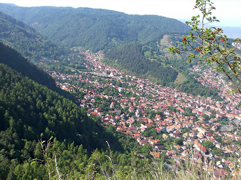 Plimbări în natură – Quiboo